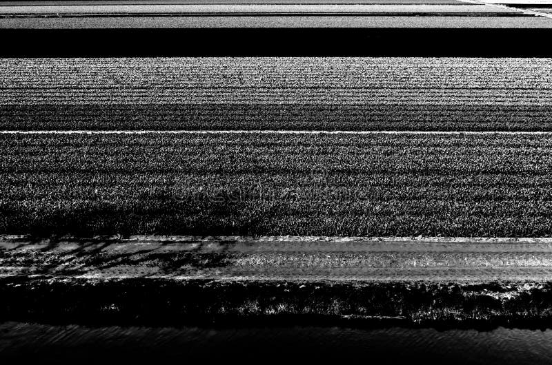 Black and White Field Background Stock Image - Image of contrast ...