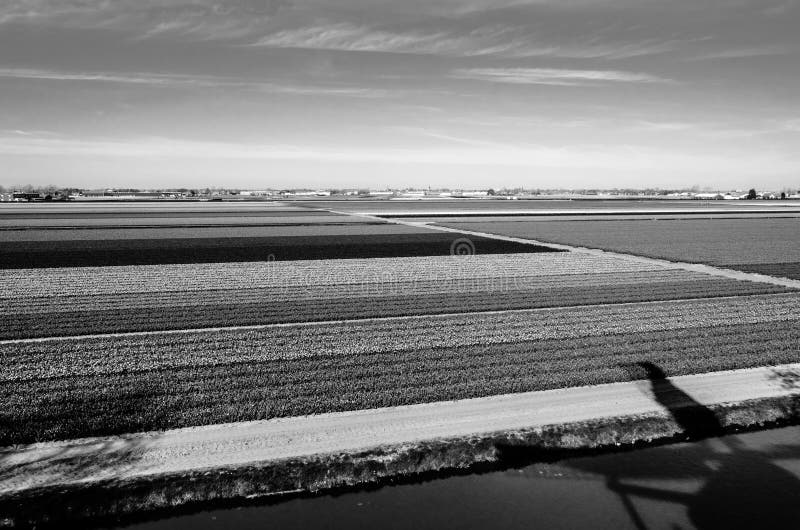 Black and White Field Background Stock Photo - Image of contrast ...