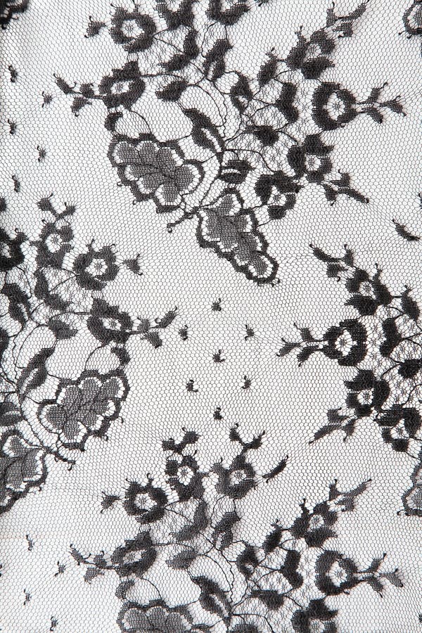Black and White Fine Lace Texture Stock Image - Image of texture ...