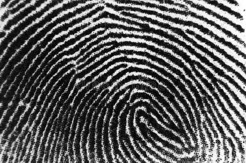 Black and White Fingerprint Texture Stock Image - Image of background ...