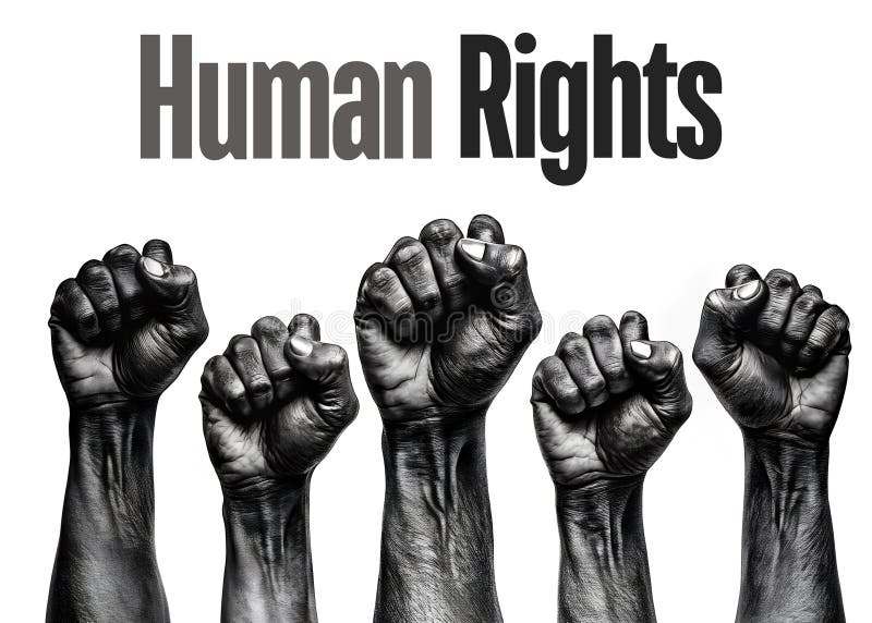 Black and White Fists Raised for Human Rights and Equality Stock Photo ...