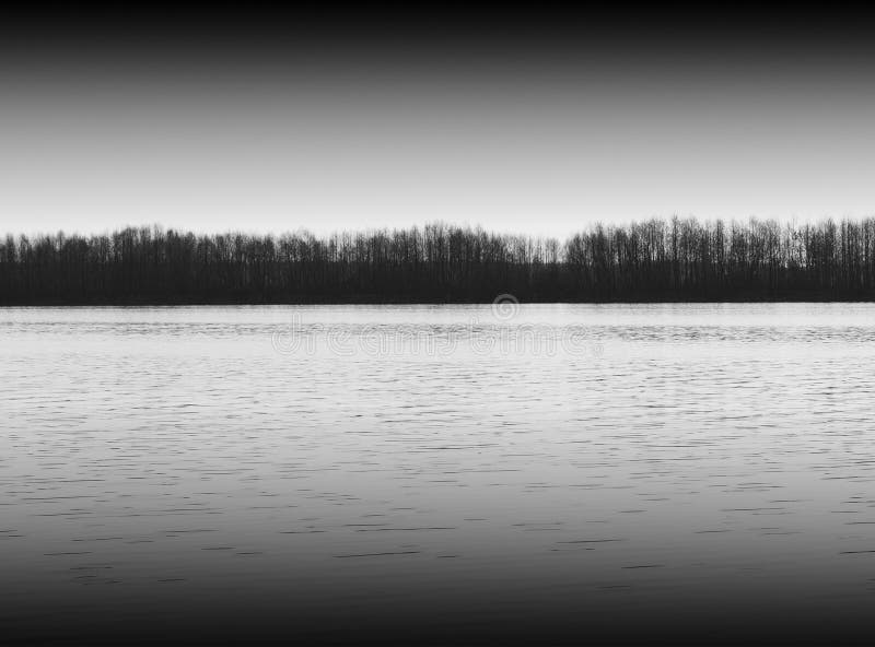 Black and White Forest Near River Landscape Background Hd Stock Image ...