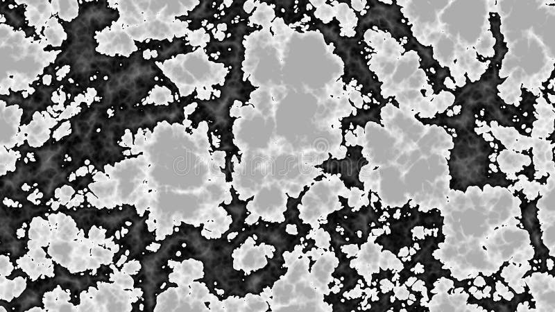 Black and White Fractal Noise Abstract Animation Background Stock Video ... Black and White Fractal Noise Abstract Animation Background Stock Video ...