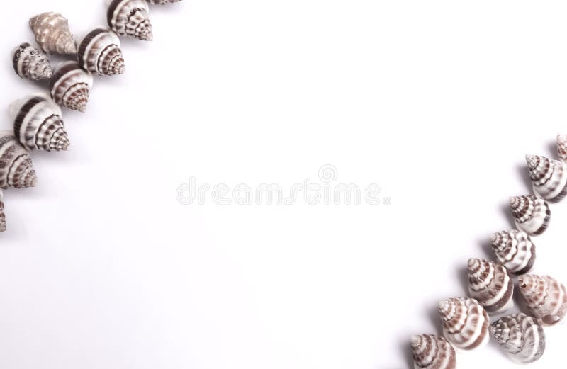 Black and White Frame Design with Snail Shell Stock Image - Image of ...