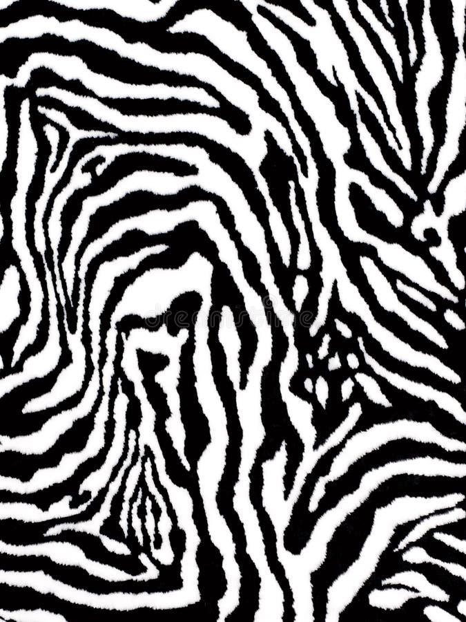 Zebra Black And White Pattern Stock Vector - Illustration of baby ...