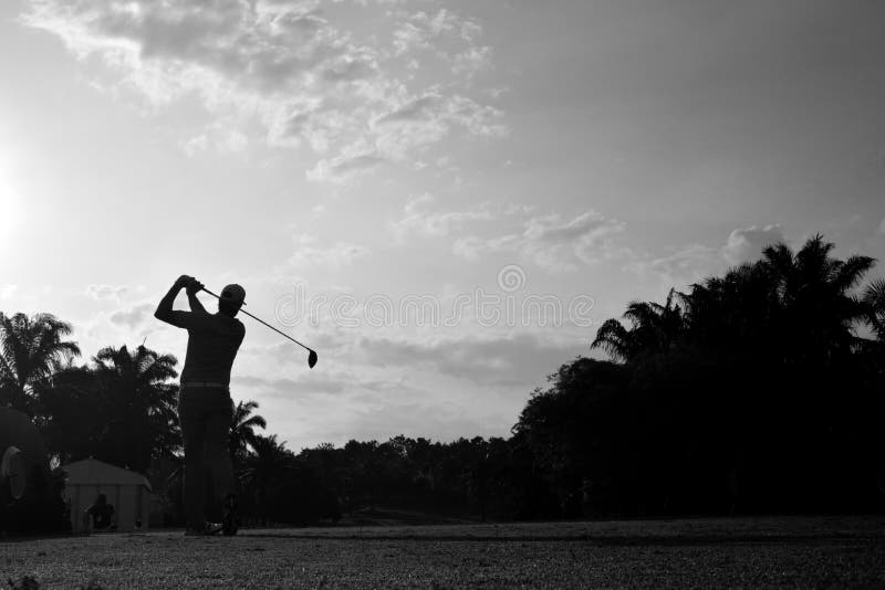Black and white Golfer stock image. Image of black, shot - 87707427