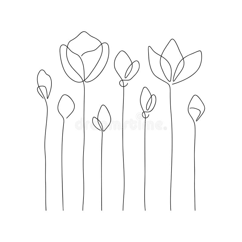 Black and White Graphic Contour Illustration of Different Colors on a ...