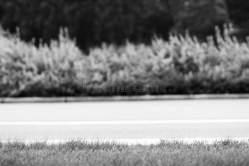 Grass Road Track Background Stock Image - Image of rich, forest: 80155963