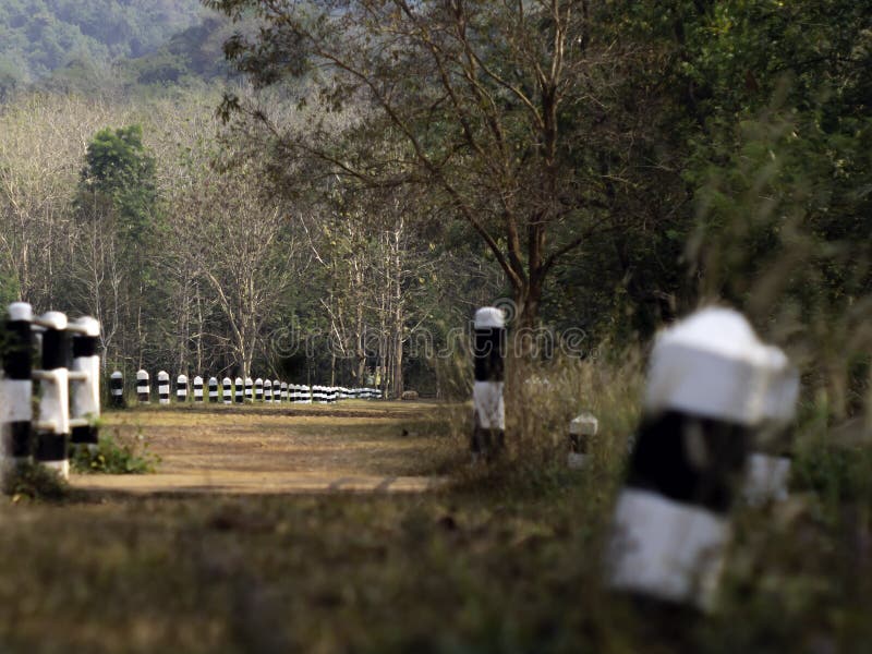 Black and White Guide Post Surrounded by Grasses beside the Road in the ...