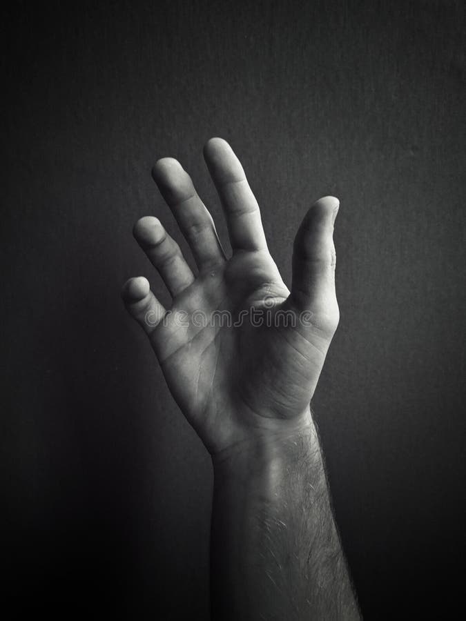 Black and White Hand Aesthetics - Palm Stock Image - Image of hand ...