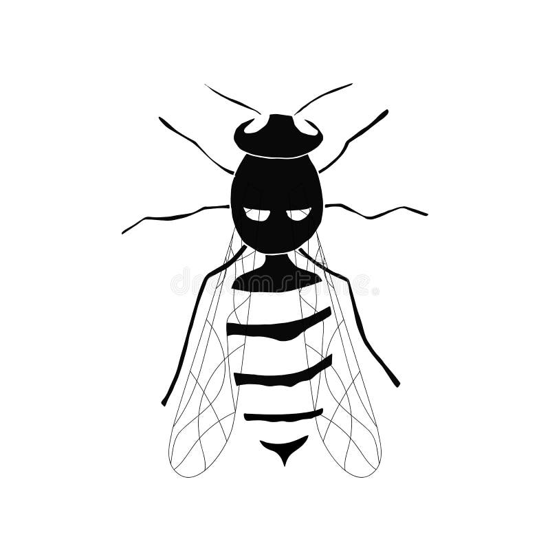 Black and White, Hand-drawn Vector Wasp Stock Vector - Illustration of ...