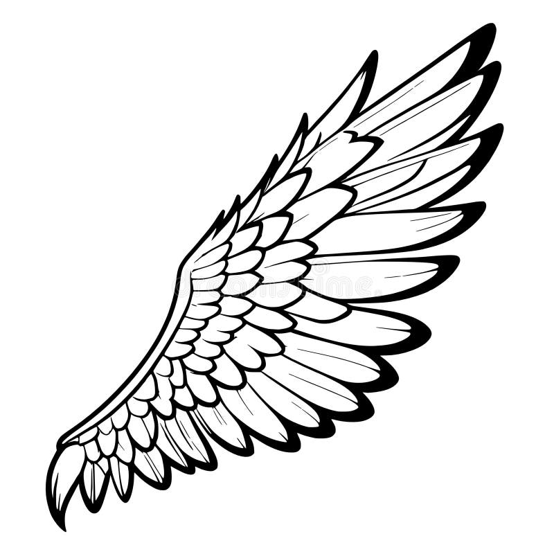 Black and White Hand Drawn Wing. Illustration Stock Illustration ...