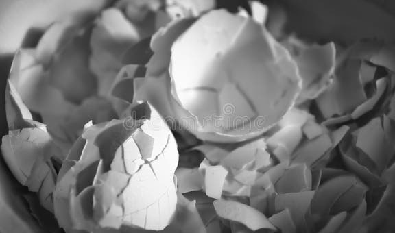Eggshell pieces in shadow stock image. Image of black - 366628413