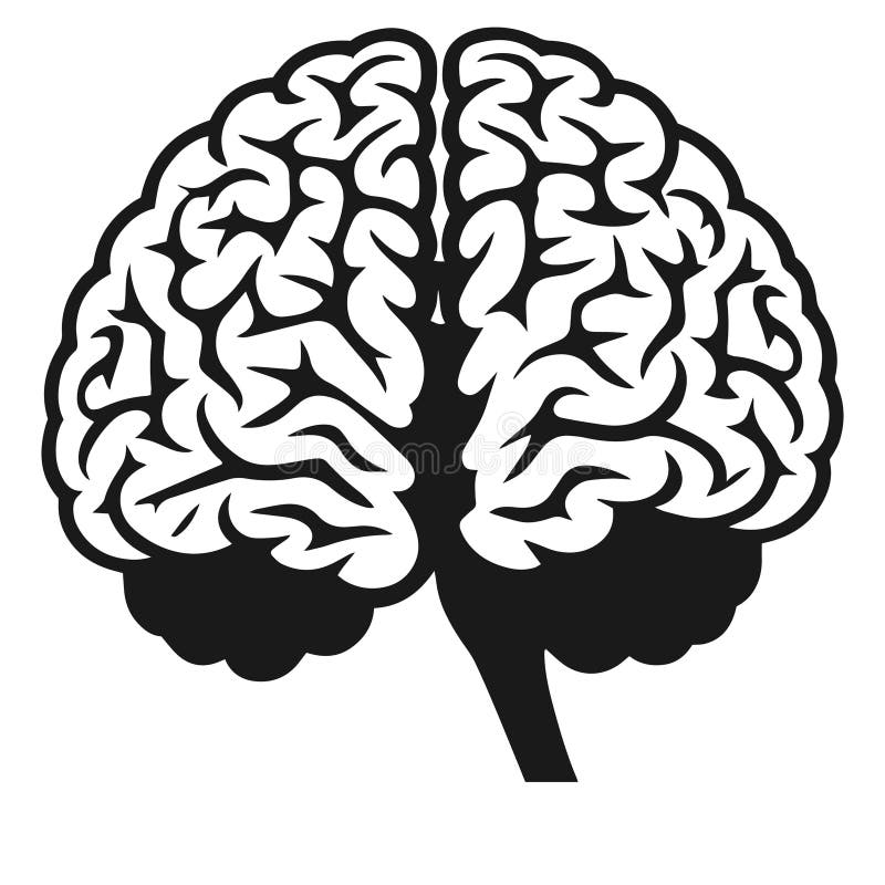 Human Brain Vector Hand Drawn Anatomy Illustration Silhouette. Stock ...