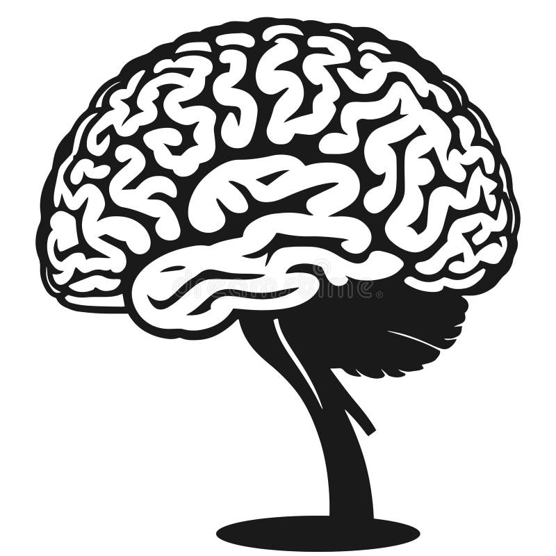 Human Brain Vector Hand Drawn Anatomy Illustration Silhouette. Stock ...