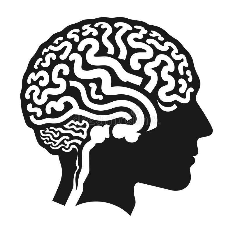 Human Brain Vector Hand Drawn Anatomy Illustration Silhouette. Stock ...