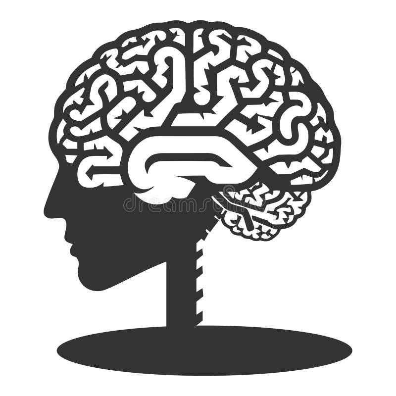 Human Brain Vector Hand Drawn Anatomy Illustration Silhouette. Stock ...