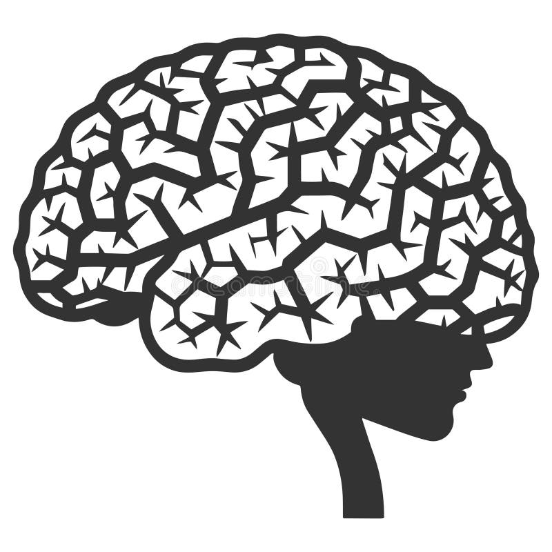Human Brain Vector Hand Drawn Anatomy Illustration Silhouette. Stock ...