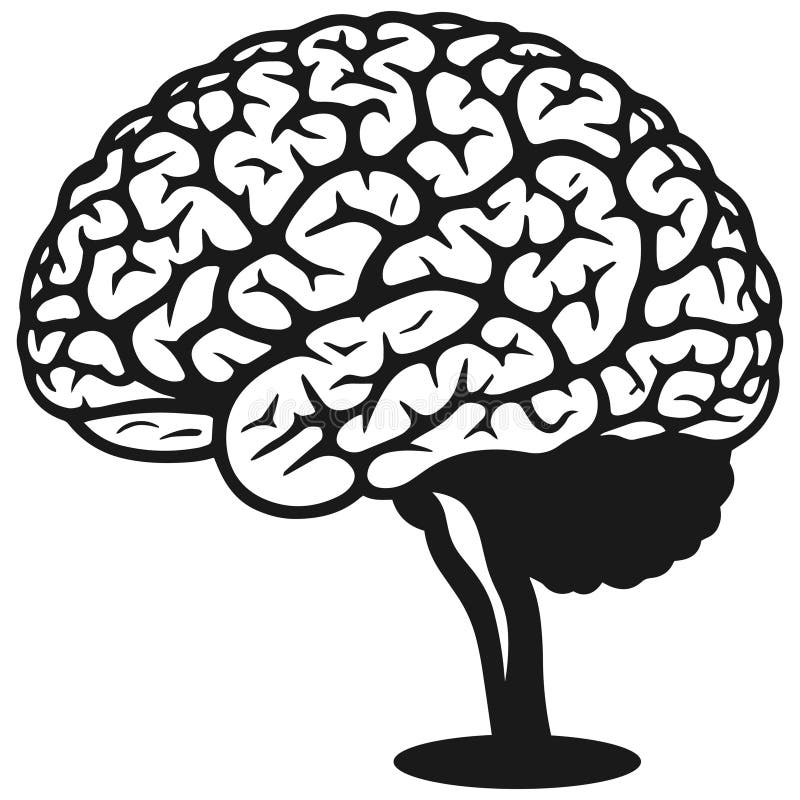 Human Brain Vector Hand Drawn Anatomy Illustration Silhouette. Stock ...