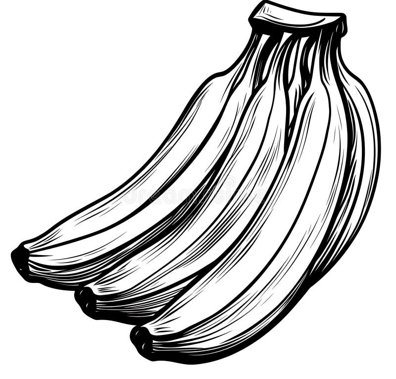 Bananas Pattern Black White Stock Illustrations – 814 Bananas Pattern ...