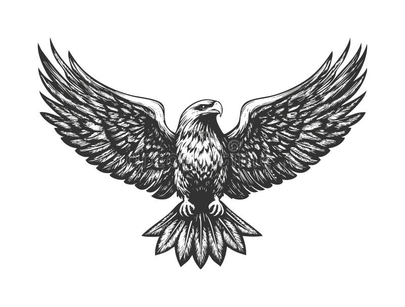 Black and White Illustration of an Eagle with Outstretched Wings. Stock ...