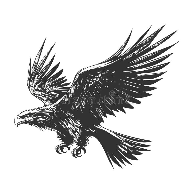 Black and White Illustration of an Eagle with Outstretched Wings in ...