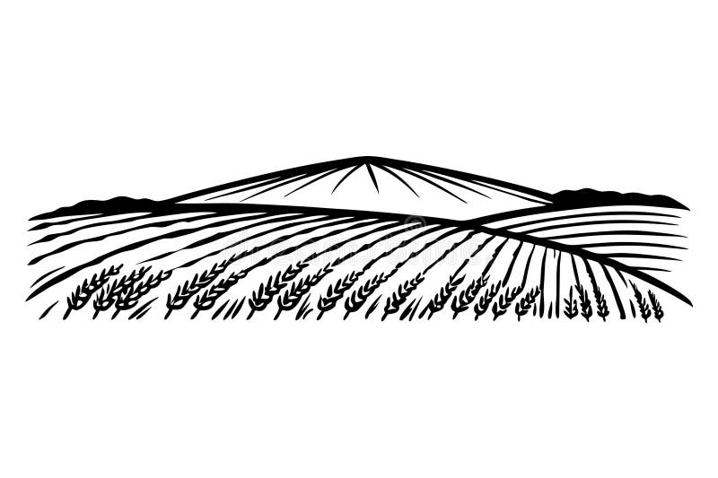 Black and White Illustration of Fields and Hills, Agricultural ...