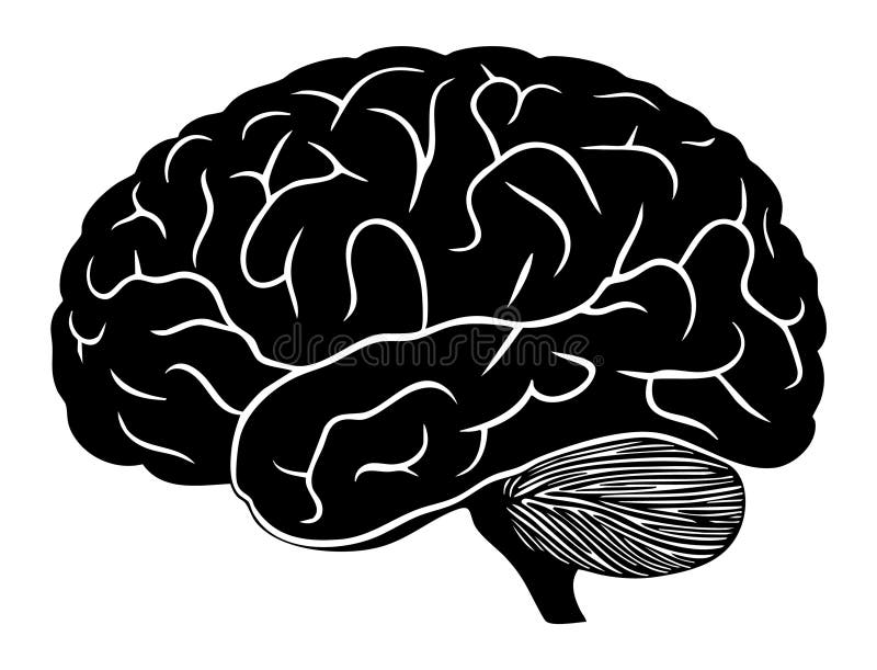 Black and White Illustration of a Human Brain Silhouette. Stock Vector ...
