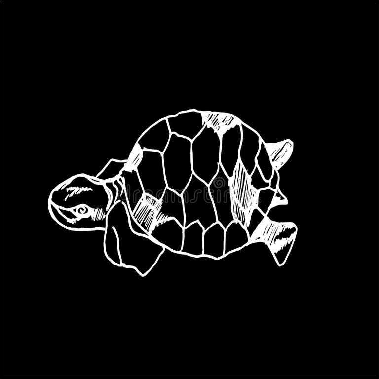 Black and White Illustration of a Psychedelic Turtle. Chalk on a ...