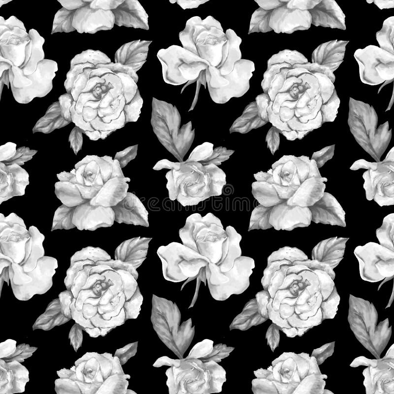 Black and White Pattern of Rose Flowers Stock Illustration ...