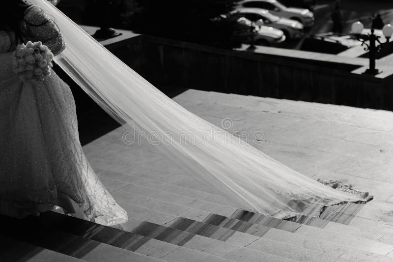 Black and White Image of a Bride S Flowing Veil and Bouquet on Stone ...