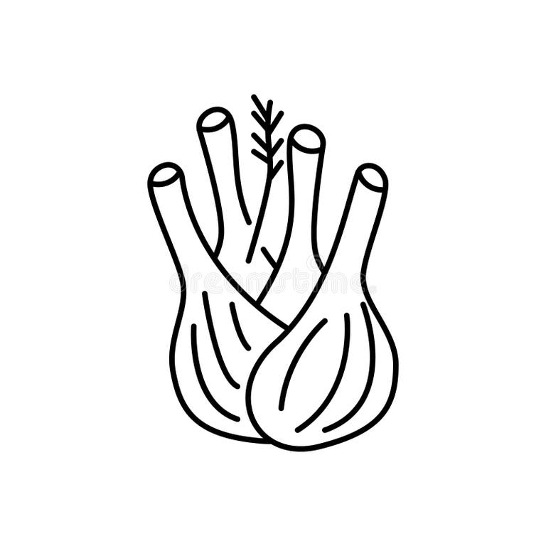 Fennel Coloring Stock Illustrations – 48 Fennel Coloring Stock ...