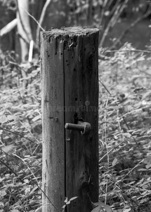 Old gate post stock image. Image of gate, white, hinge - 124258237