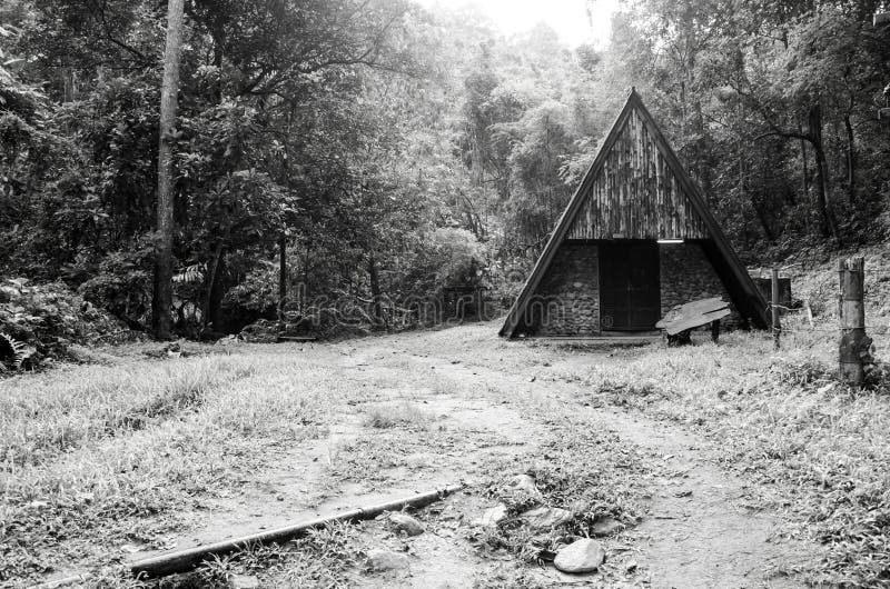 Black and White Image of Old Hut in Forest Stock Photo - Image of ...