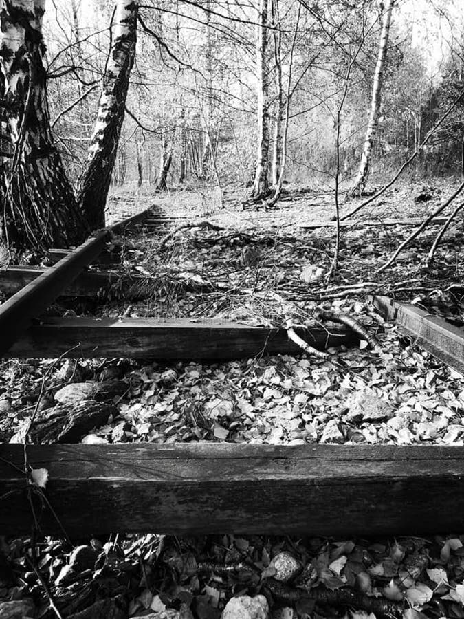 Black White Image of an Old Train Rail Stock Photo - Image of white ...