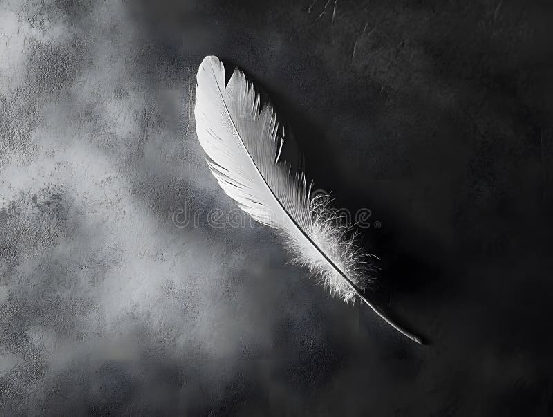 Black-and-white Image of a Single Feather on a Smooth Surface, with ...
