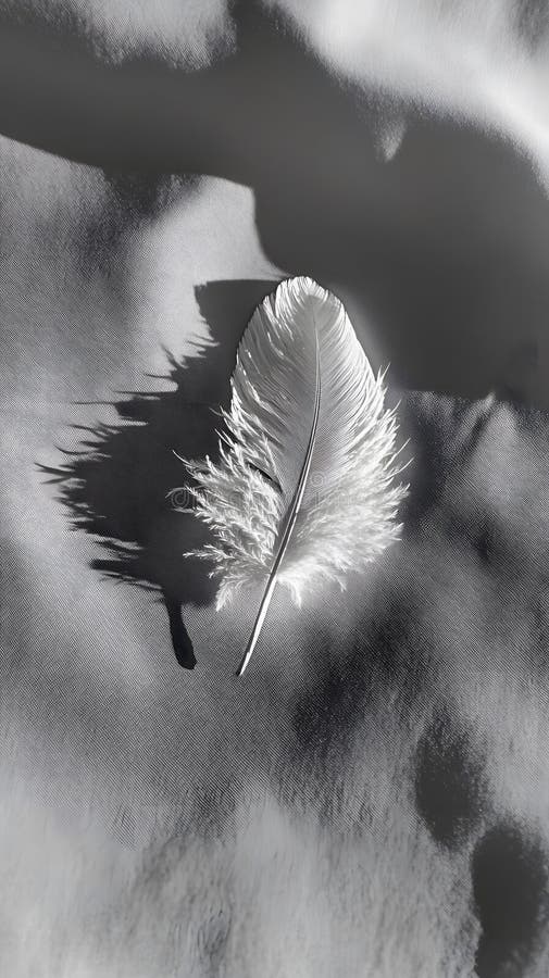 Black-and-white Image of a Single Feather on a Smooth Surface, with ...