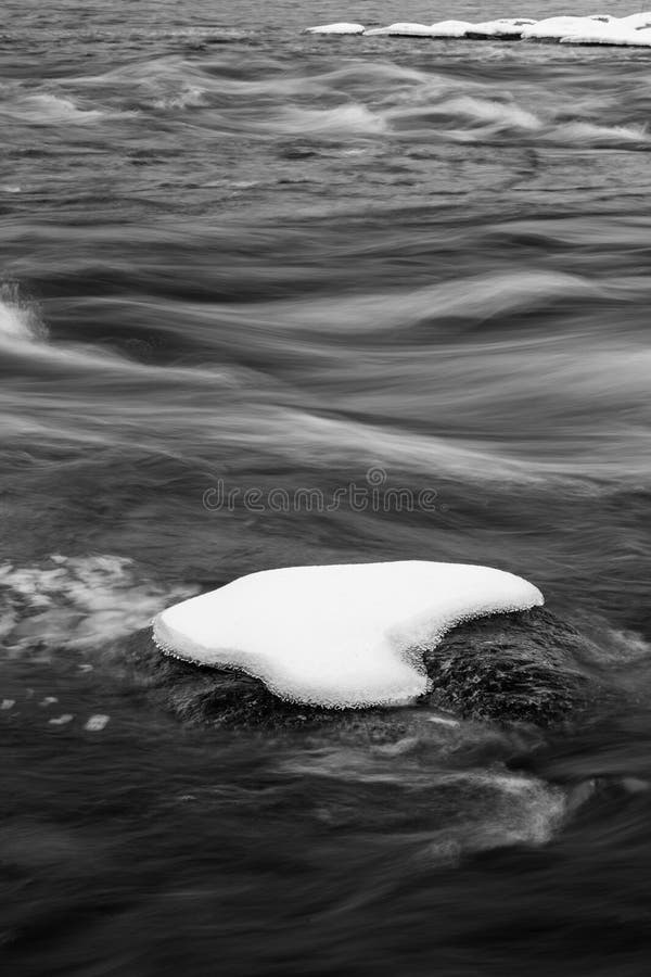 Signs of Spring stock photo. Image of black, ocean, monochrome - 304550460