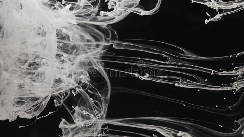 Black and White Ink in Water. Cloud of Ink on a Black Background ...