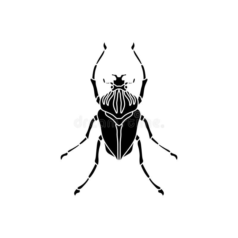 Black and White Insects Vector Illustration Isolated on White ...