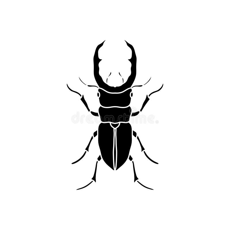 Black and White Insects Vector Illustration Isolated on White ...