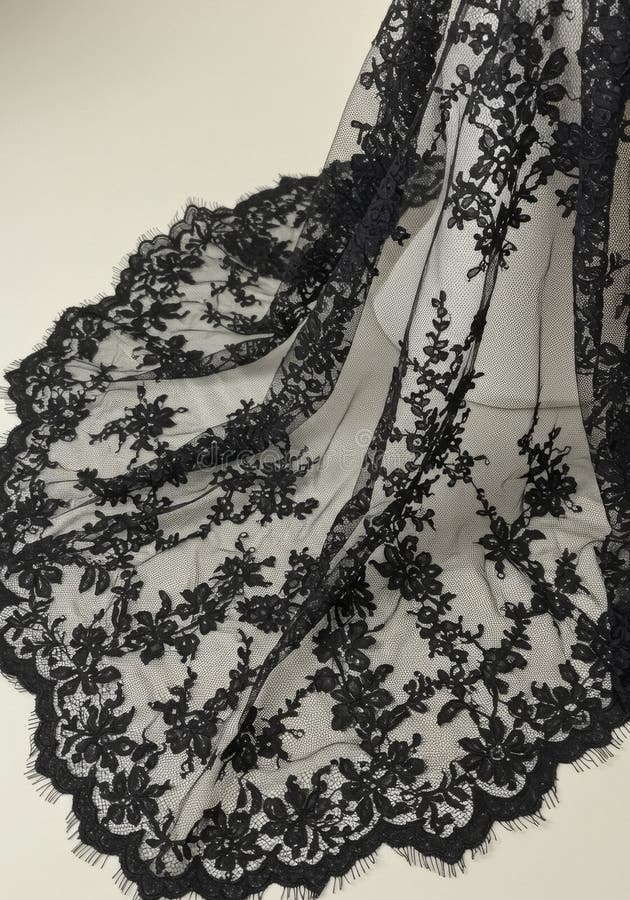 Black and White Intricate Lace Fabric Detail Stock Illustration ...