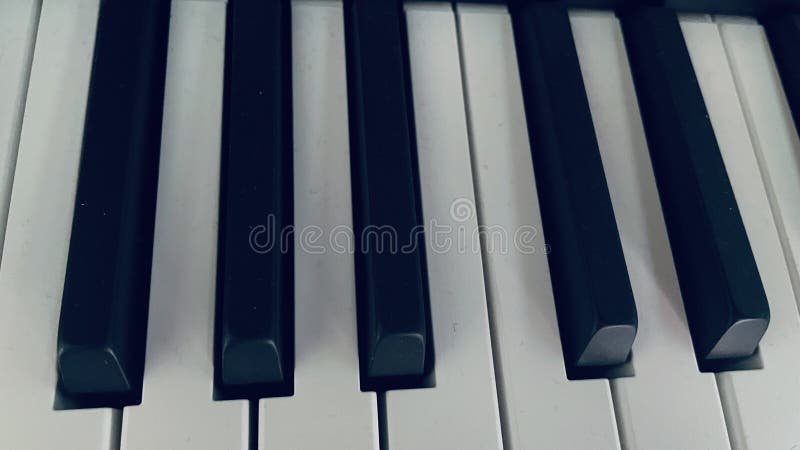 Black and white keys , stock photo. Image of music, black - 365793970