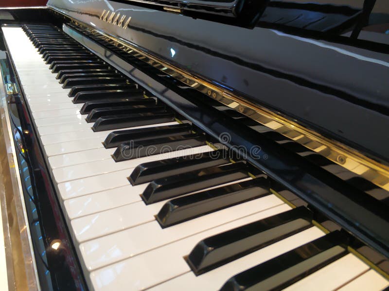 Black and White Keys of Piano Stock Image - Image of taste, technique ...