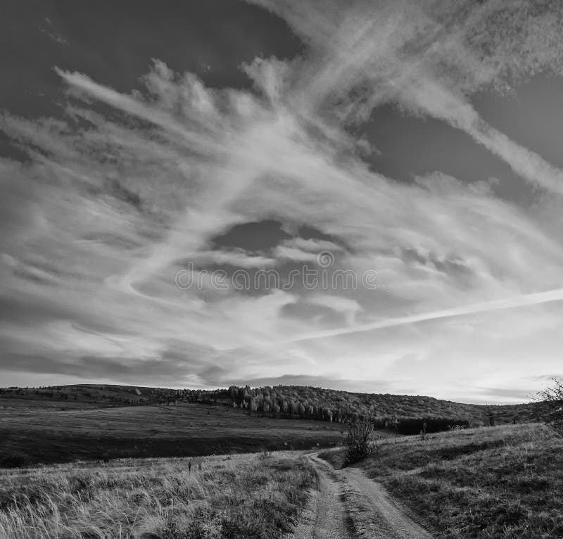 Black and White Landscape with Big Wheat Field. Stock Image - Image of ...