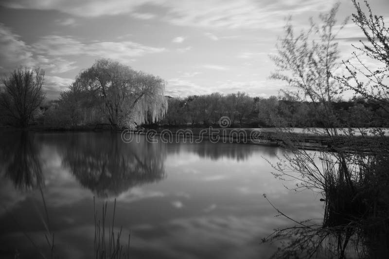 Black and White Landscape of Lake and Reflections of Trees and Clouds ...