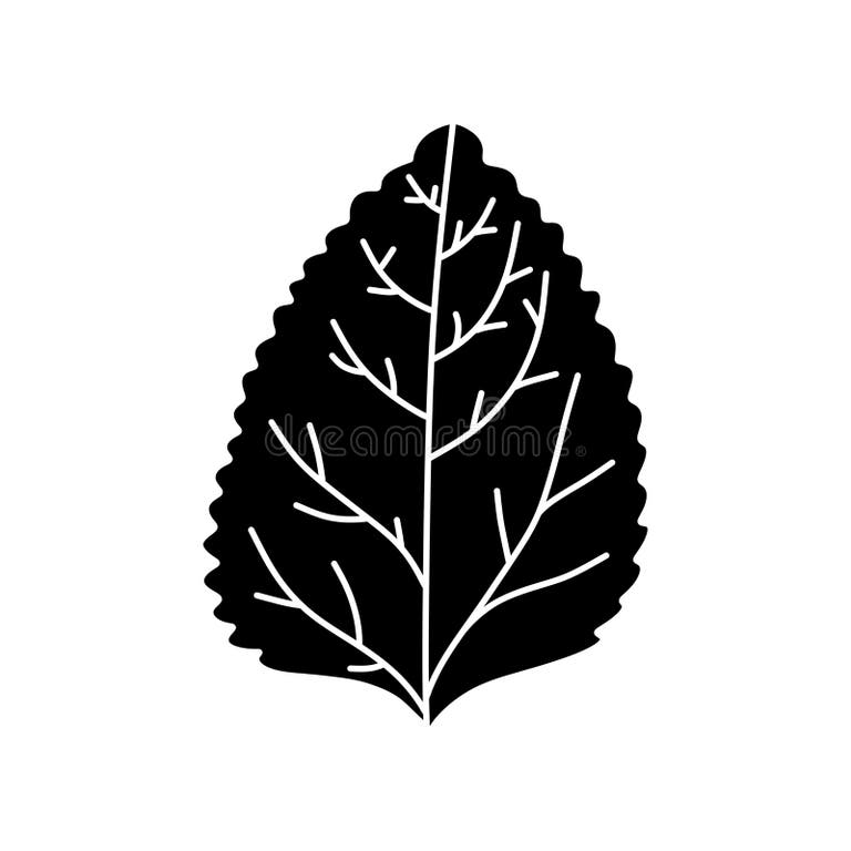 Black and White Leaf Vector Illustration Stock Vector - Illustration of ...