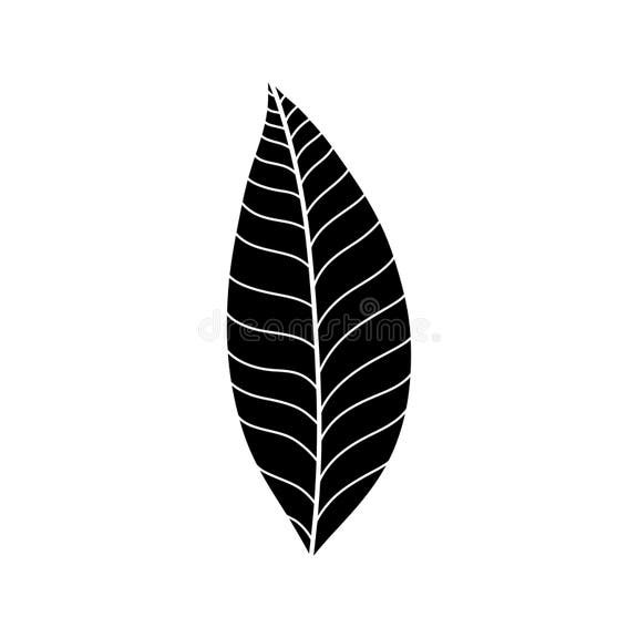 Black and White Leaf Vector Illustration Stock Vector - Illustration of ...