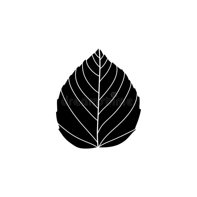 Black and White Leaf Vector Illustration Stock Vector - Illustration of ...