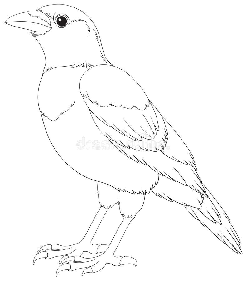 Outline of a perched bird stock vector. Illustration of ornithology ...
